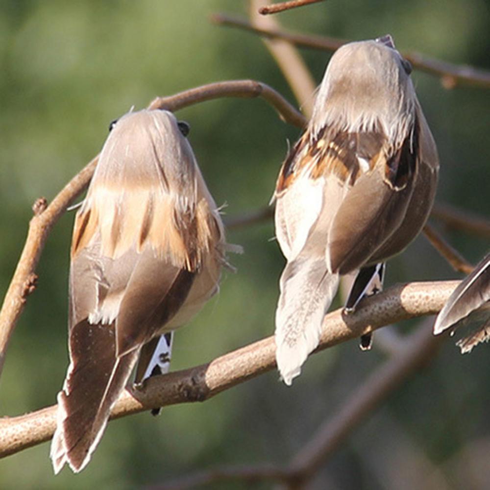 40% Sales! 12Pcs Artificial Animal Bird Spadger Sp... – Grandado