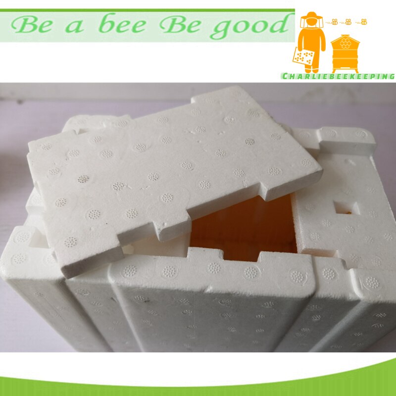 Mini Mating Box Removable Feeder, Complete Mini Ma... – Grandado