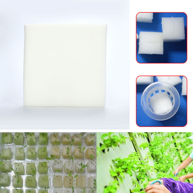 100Pcs/Set Soilless Hydroponic Vegetables Nursery ... – Grandado