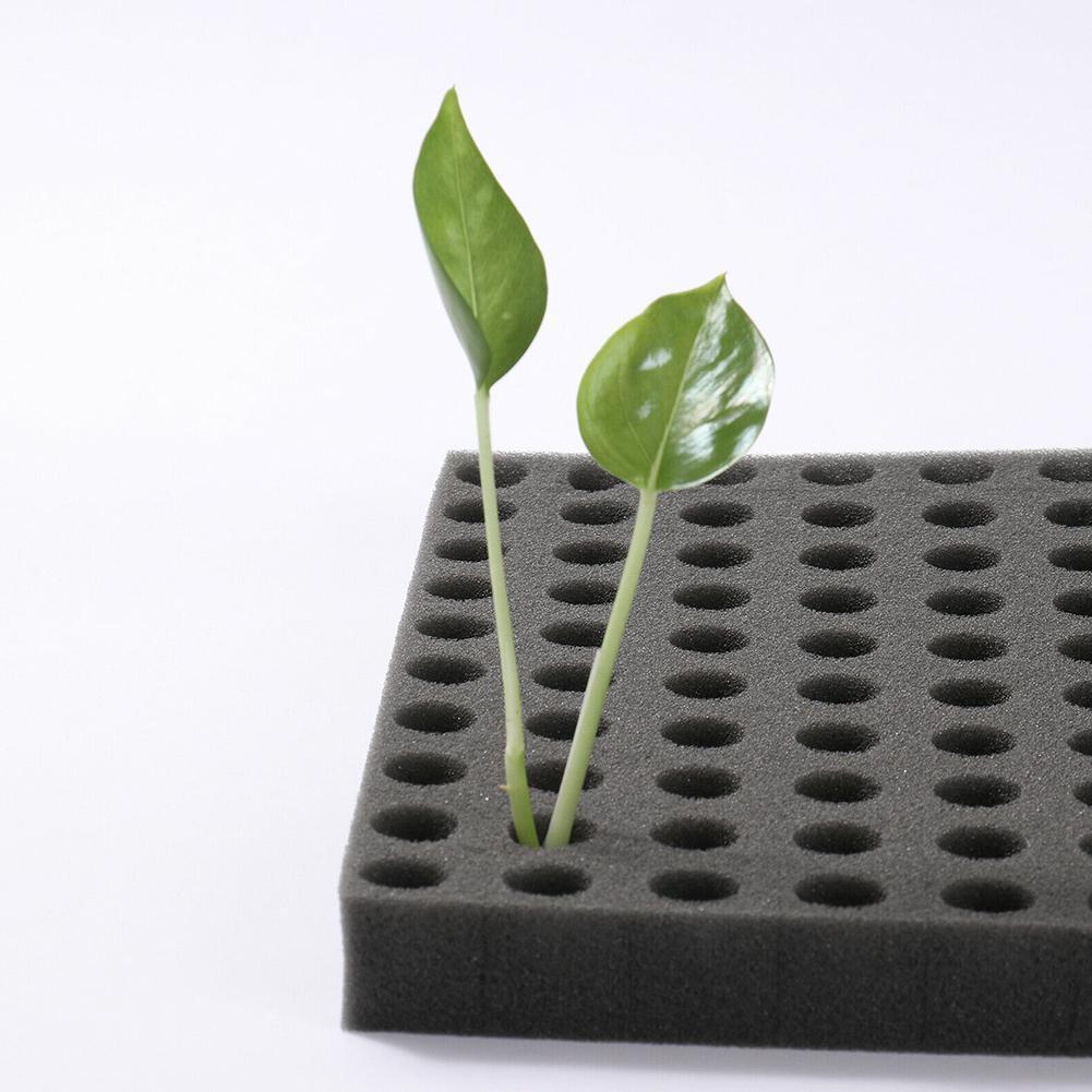 100 Pieces Dirt Resistant Seedling Sponge Soilless... – Grandado