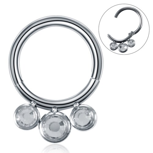 1PC 16G Steel Nose Piercing Segment Hinged Rings P... – Grandado