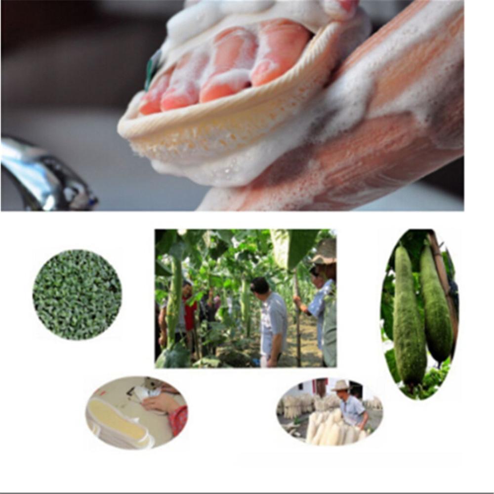 1Pc Natuurlijke Effectieve Peeling Massage Borstel... – Vicedeal