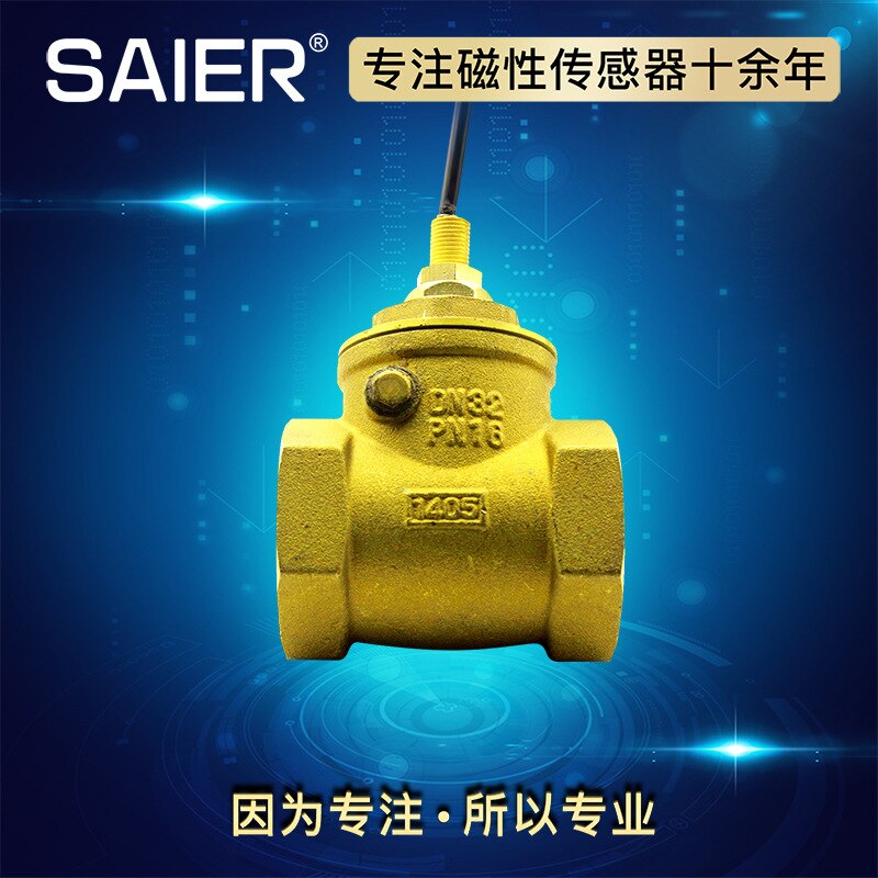 Sai Shenger provides the principle of reed switch ... – Vicedeal