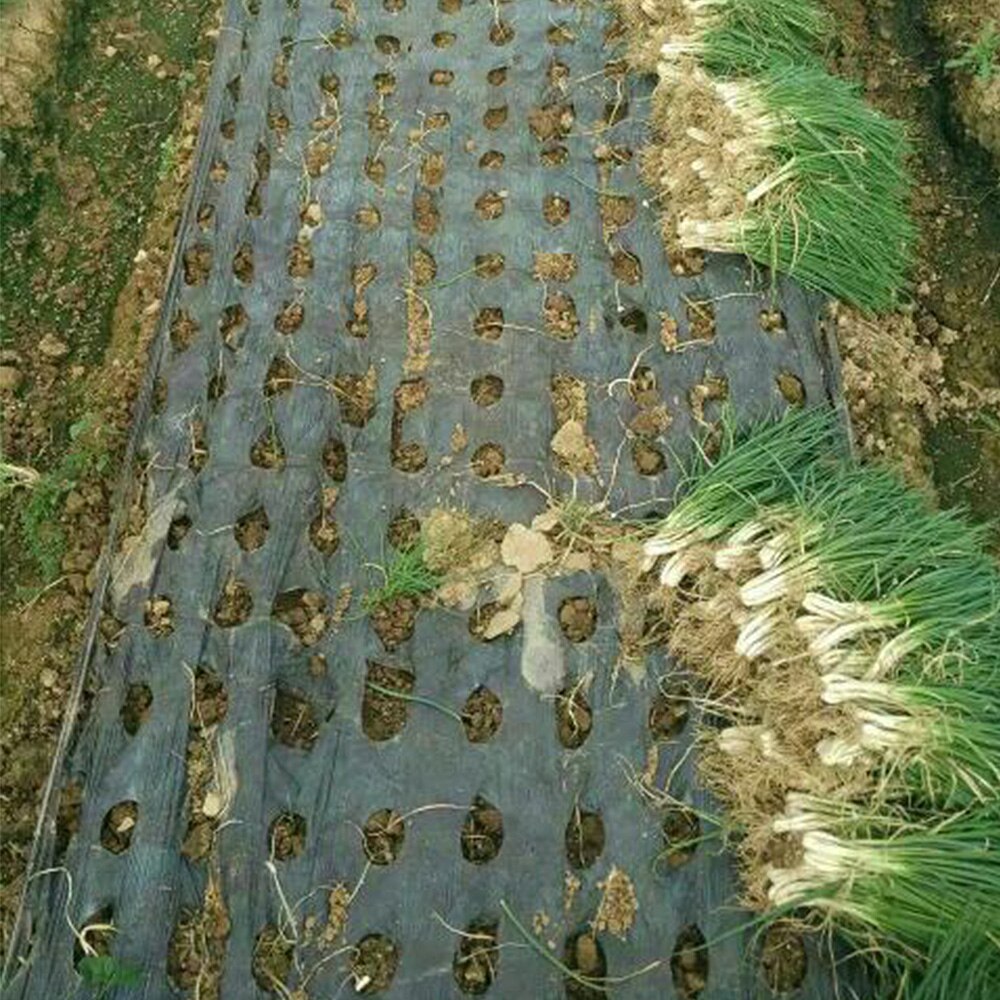 Black Mulch Film Garden Film Hi Vegetable Plants G... – Grandado
