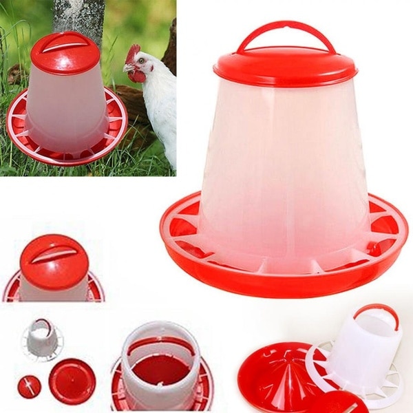 Drinker For Chickens Duck Quail Poultry Chick Hen ... – Grandado