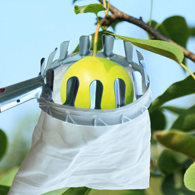 stainless steel orchard high branch harvesting too... – Grandado
