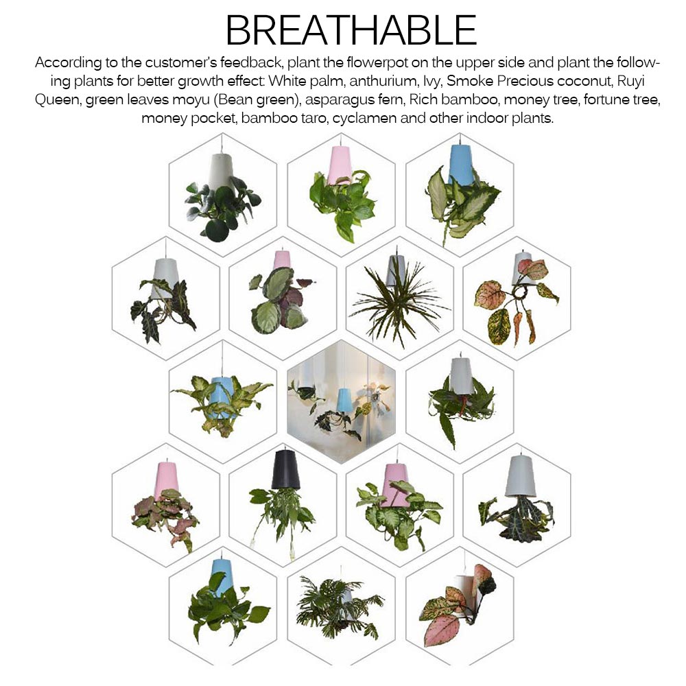 Sky Garden Flower Pot Inverted Aerial Plastic Hang... – Vicedeal