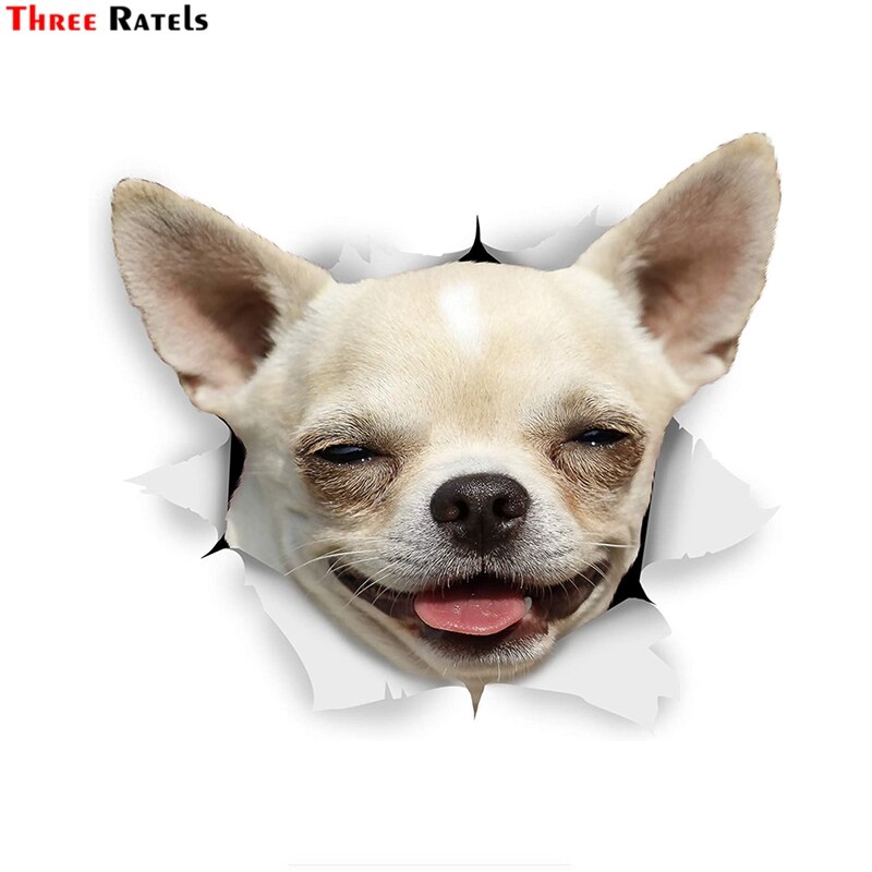 Three Ratels FTC-1099 3D Happy Chihua Dog Sticker ... – Grandado