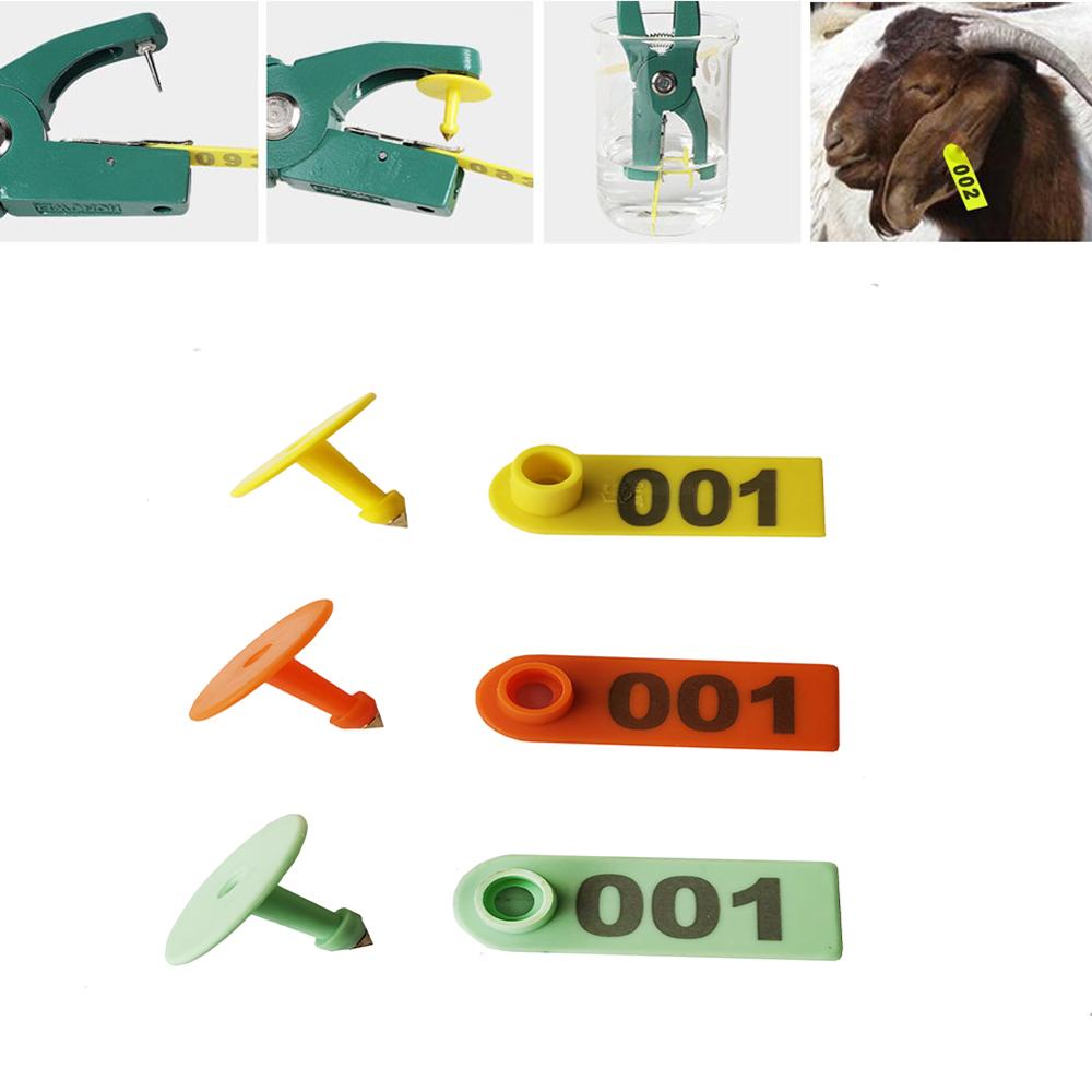 Plastic Livestock Ear Tag for Goat Sheep Pig Three... – Grandado