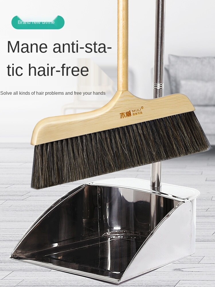 Sweeping Broom Bristle Hair Brush Dustpan Set Hous... – Grandado