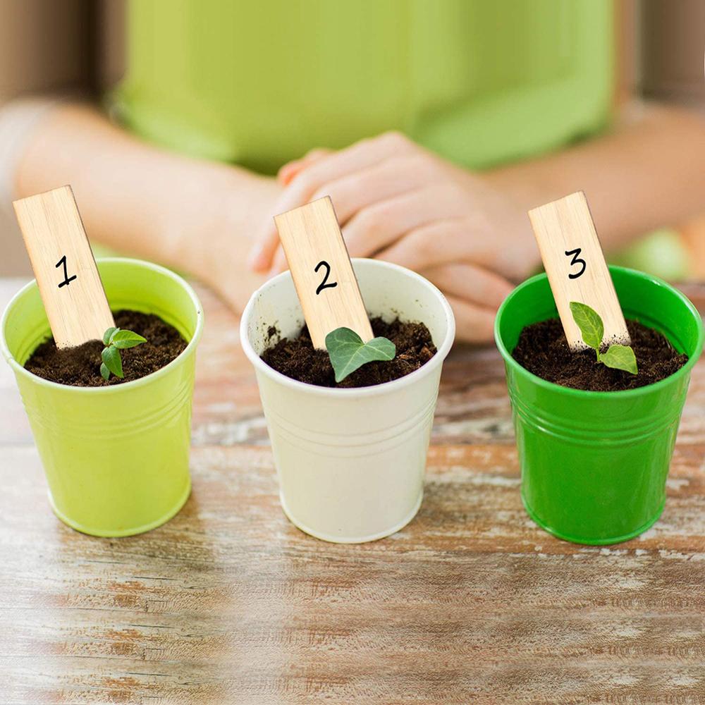 Diy utsøkt 50 stkbambusplanteetiketter tre t-type ... – Grandado