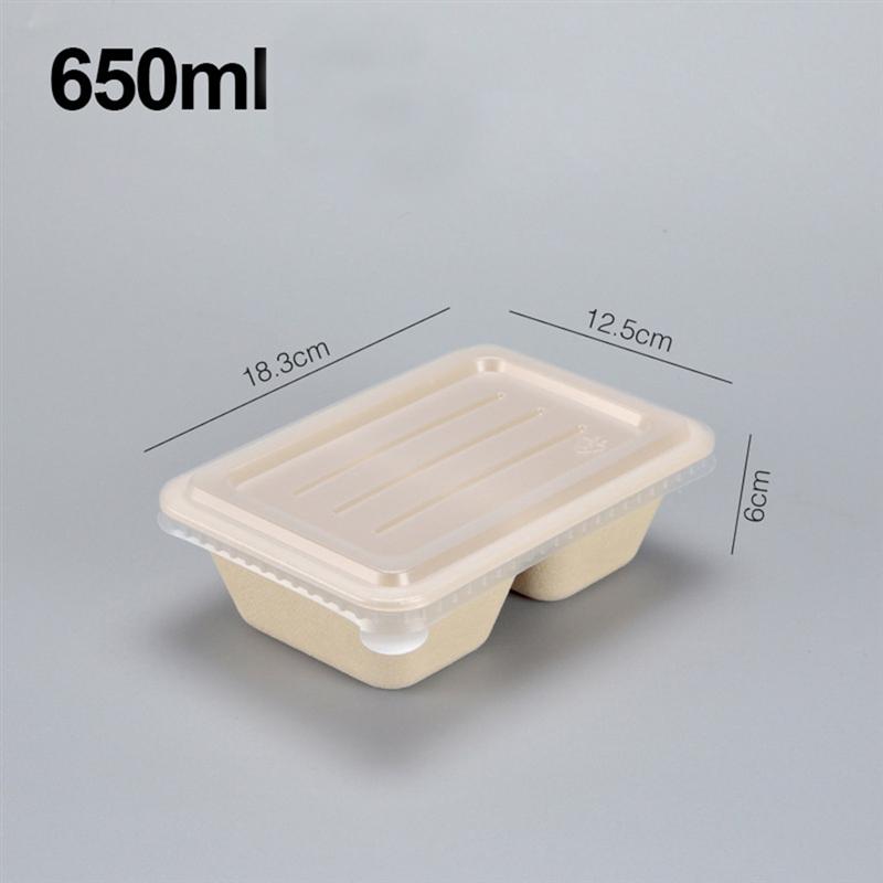 10PCS Disposable Pulp Lunch Box Biodegradable Take... – Grandado
