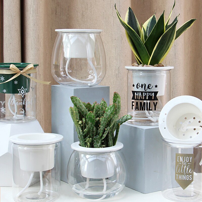 Self Watering Planter Potten Mini Ronde Vetplant P... – Vicedeal