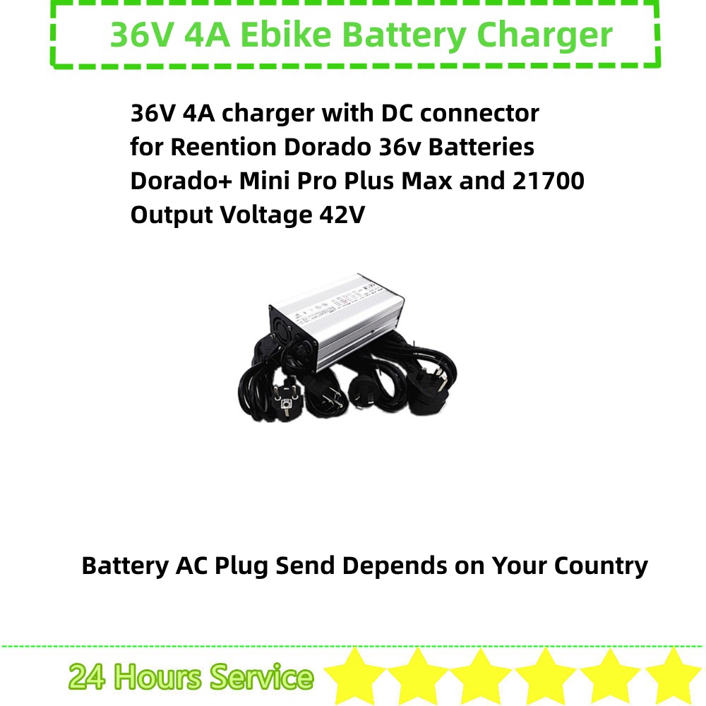 Reention Dorado Ebike Battery Charger Dorado Mini ... – Grandado