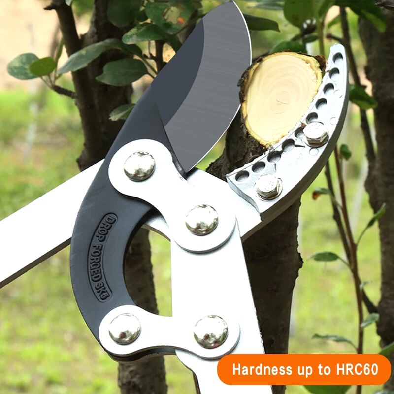 Garden Pruning Scissors High Branch Pruning Tool w... – Grandado