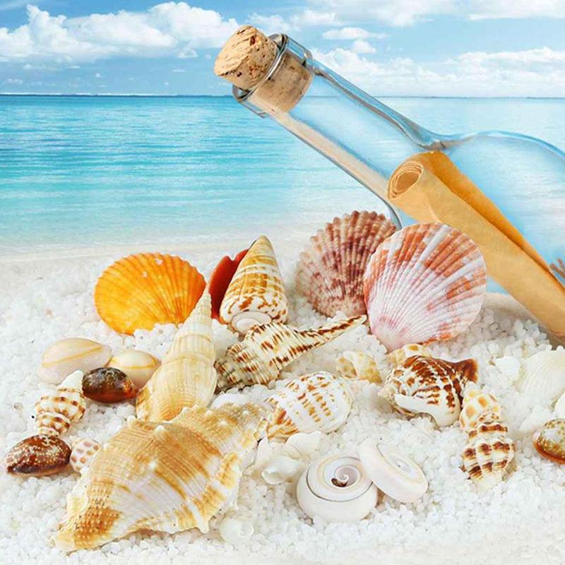 Bag Mix Aquarium Beach Nautical DIY Shells Mixed B... – Vicedeal