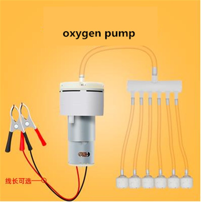Air Pomp DC 12V Oxygen Pump Electric Mini Motor 12... – Grandado