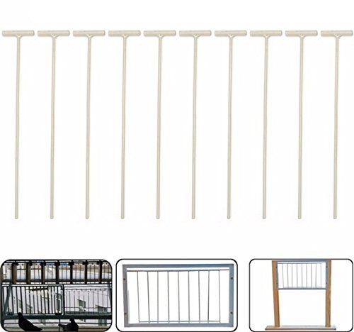 10pcs Pigeon Bird Entrance Trap One-way Window Doo... – Grandado