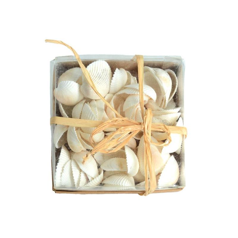 130g Natural White Clam Box Diy Home Decoration Pe... – Vicedeal