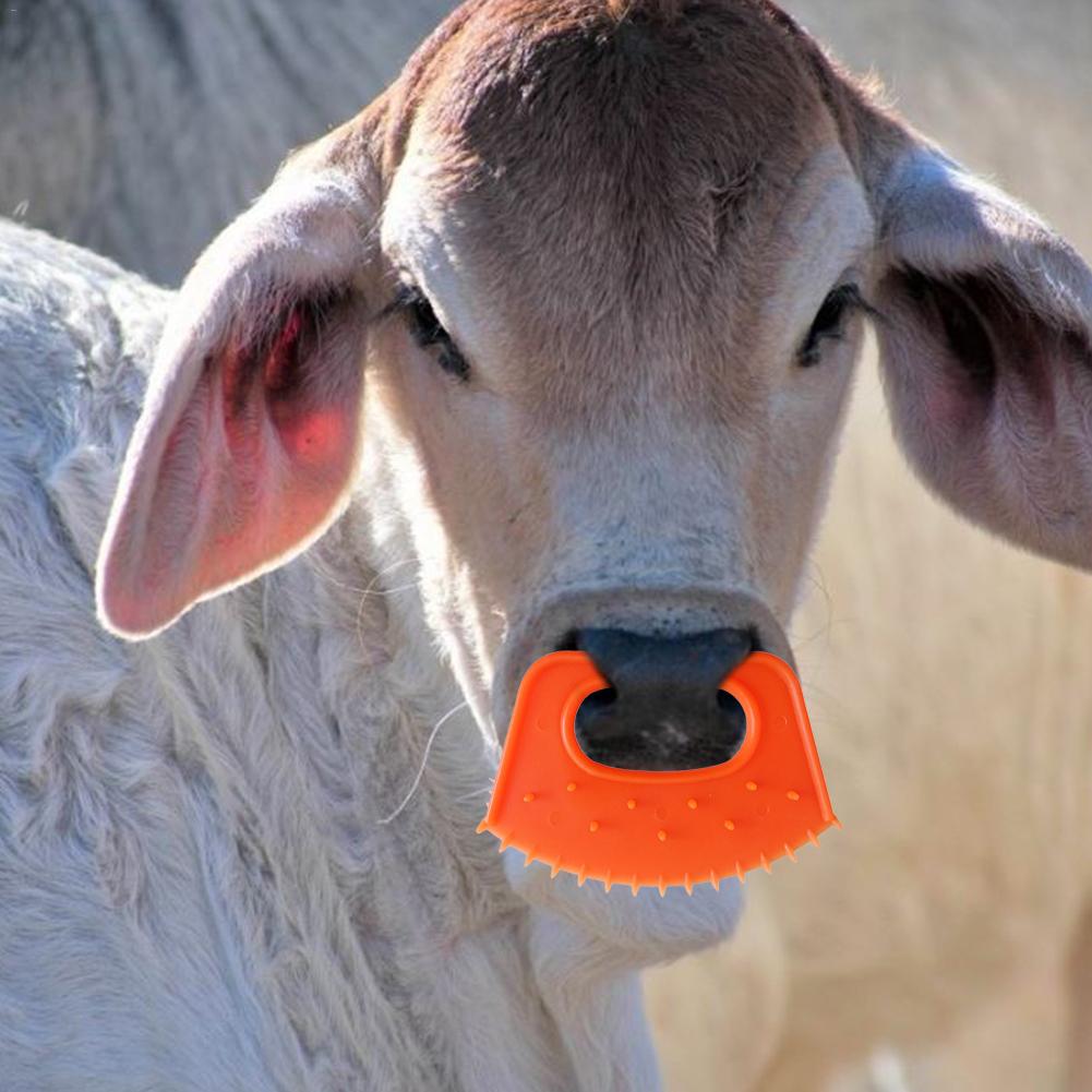 Cow Nose Weaner Calf Cattle Nose Clip Plastic Cow ... – Vicedeal