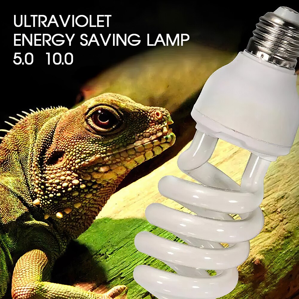 UVB Reptile Light Bulb Habitat Lighting 13W Reptil... – Grandado