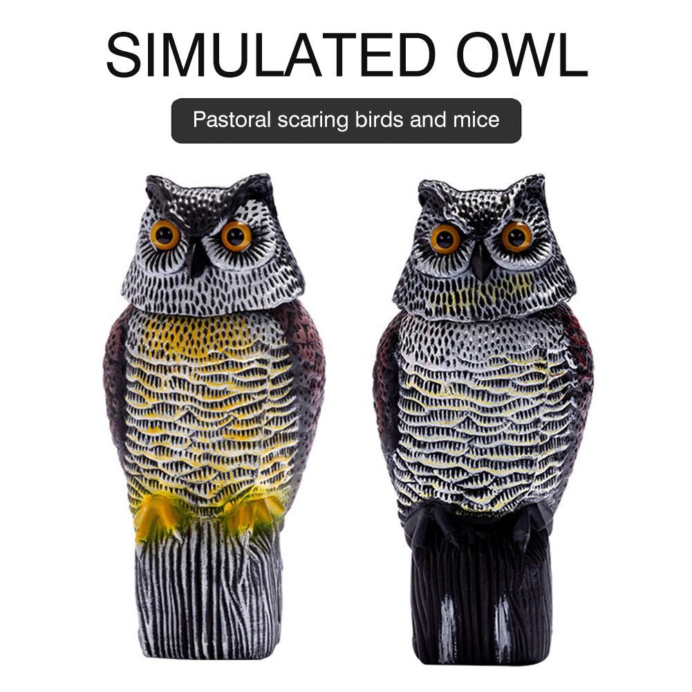 Realistic Bird Scarer Rotating Head Owl Prowler De... – Vicedeal