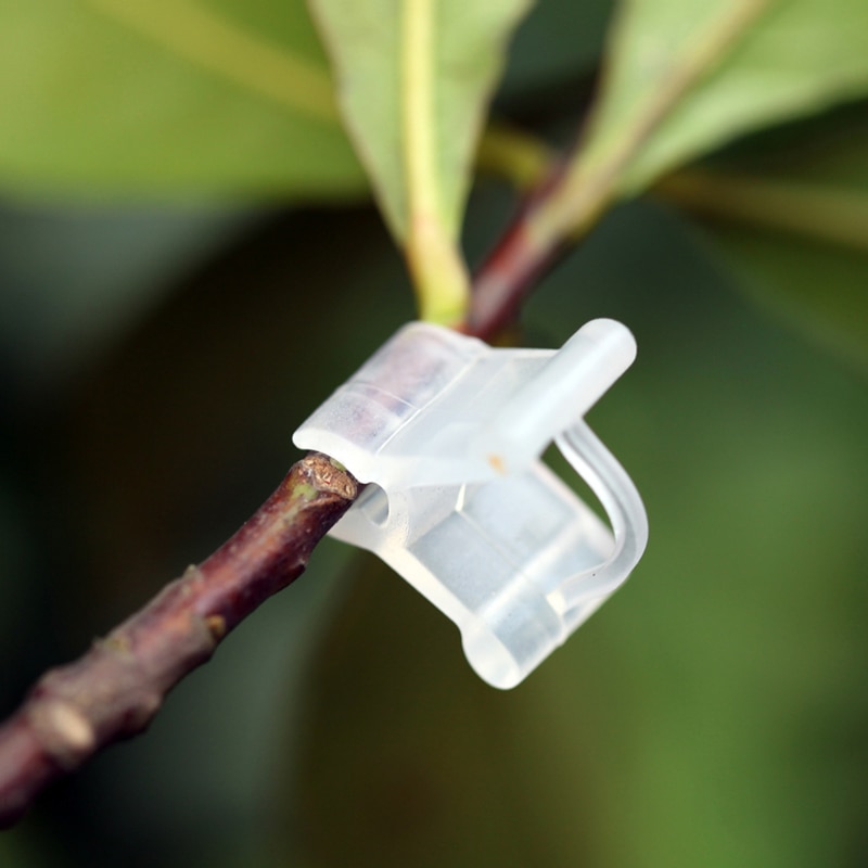 50 Stks/pak Plastic Plant Ondersteuning Mini Enten... – Grandado
