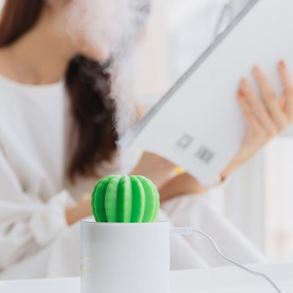 Usb Luchtbevochtiger Cactus Timing Aromatherapie D... – Vicedeal