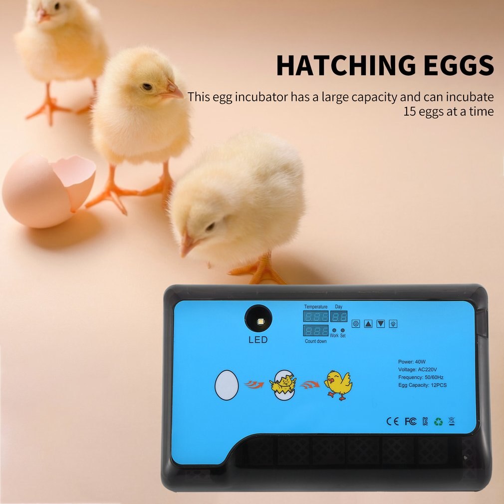 12 Eggs Incubator Time Control Convenient Automati... – Grandado