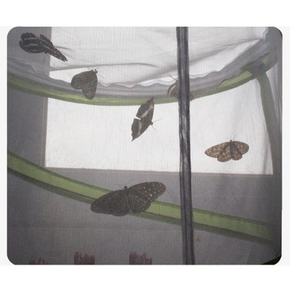 Mini Insect Mesh Butterfly Housing Habitat Cagebug... – Grandado