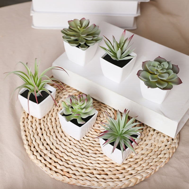 6PCS (SET) Mini Artificial Succulent Green Plant P... – Grandado