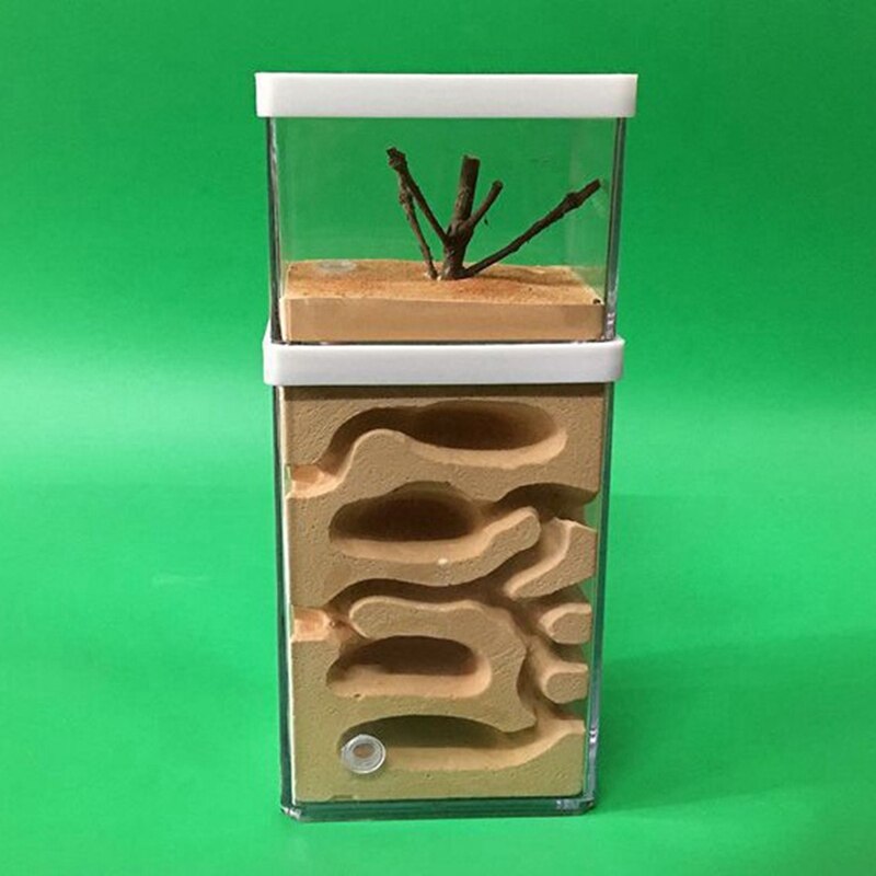 Best Ant Farm High Moisture Insect Hotel Castle Ec... – Grandado