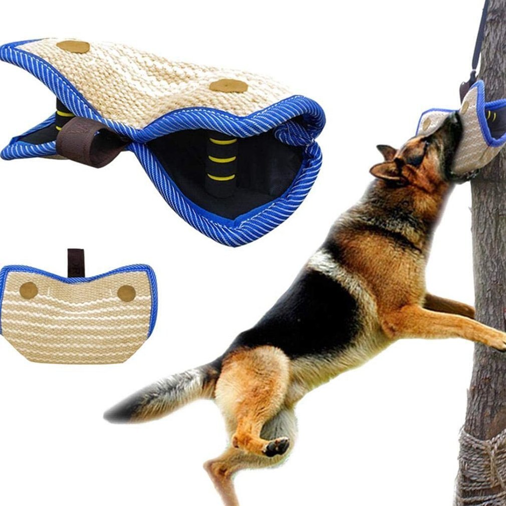 Dog Training Equipment Protective Sleeve Arm Prote... – Grandado