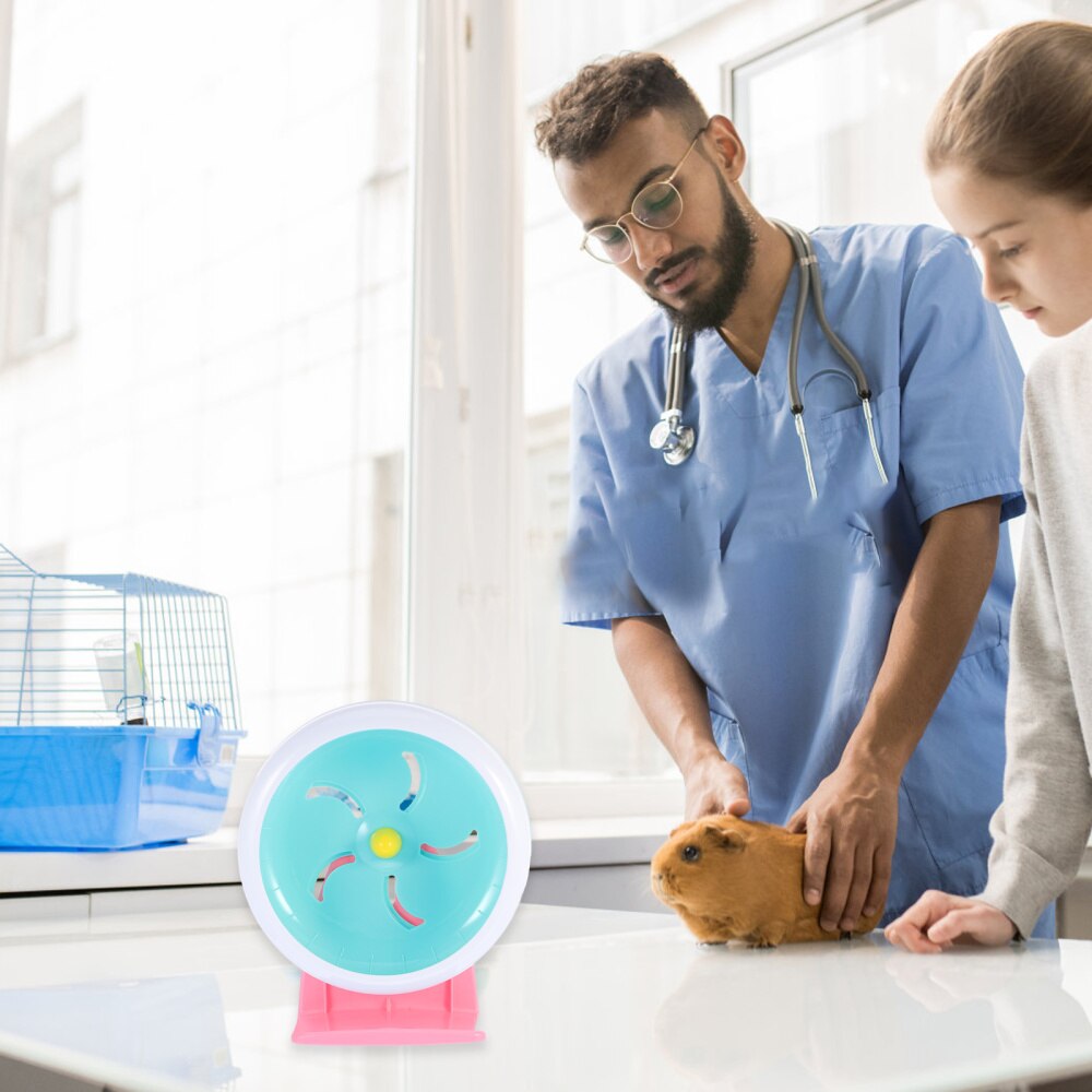 18cm Silent Pet Running Wheel Silent Pet Exercise ... – Grandado