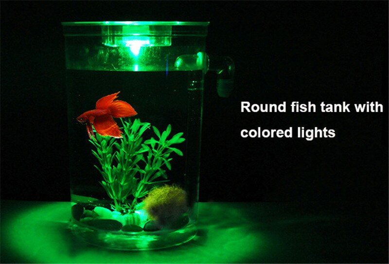 Tropical Betta fish mini arcylic fish tank aquariu... – Grandado