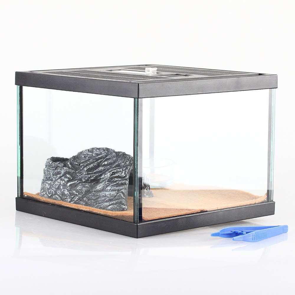 Reptile Kit Spider Box Frog House Tarantula Contai... – Grandado