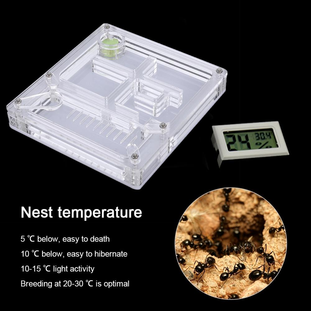 Acrylic Transparent Ant Breeding House Nest Formic... – Vicedeal
