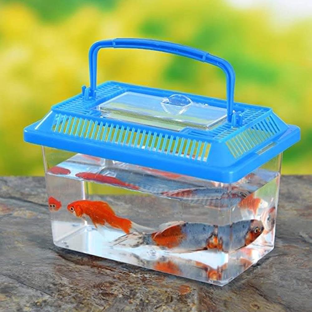 Portable Pet Breeding Box Transparent Tortoise Cyl... – Grandado