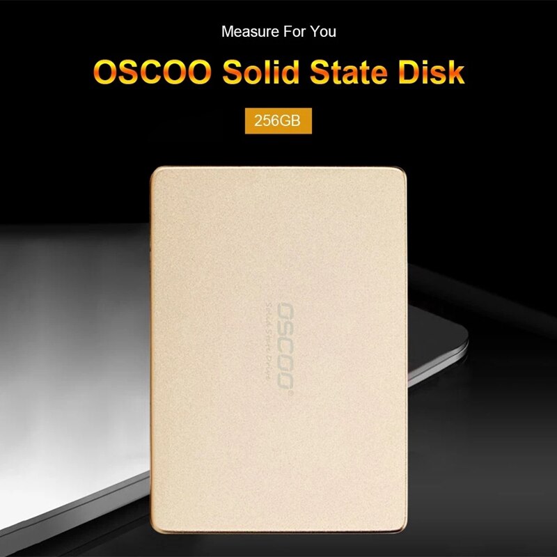 OSCOO Solid State Disk SATA III 256GB 2.5Inch SSD ... – Grandado