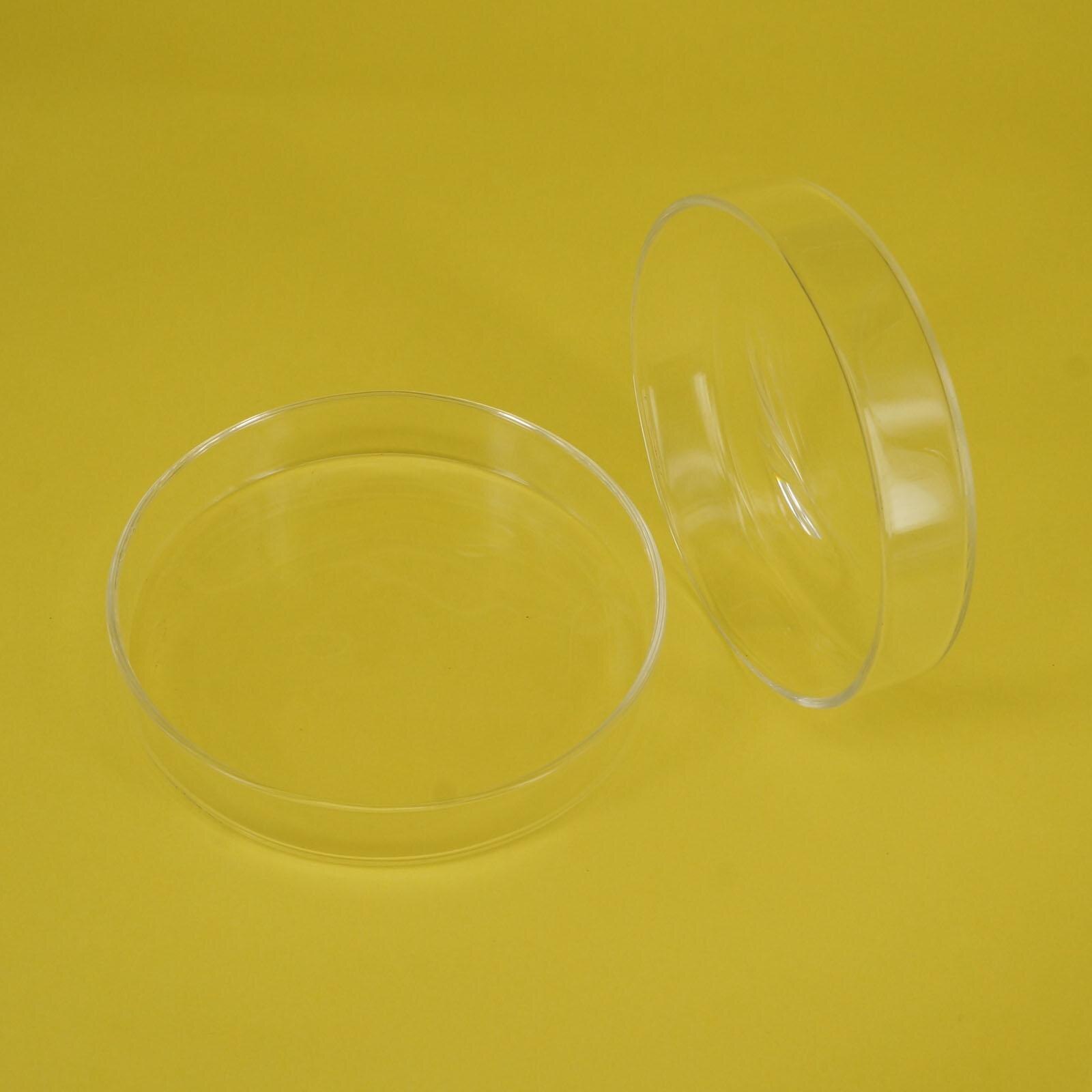 60mm Borosilicate Glass Petri Culture Dish with Li... – Grandado