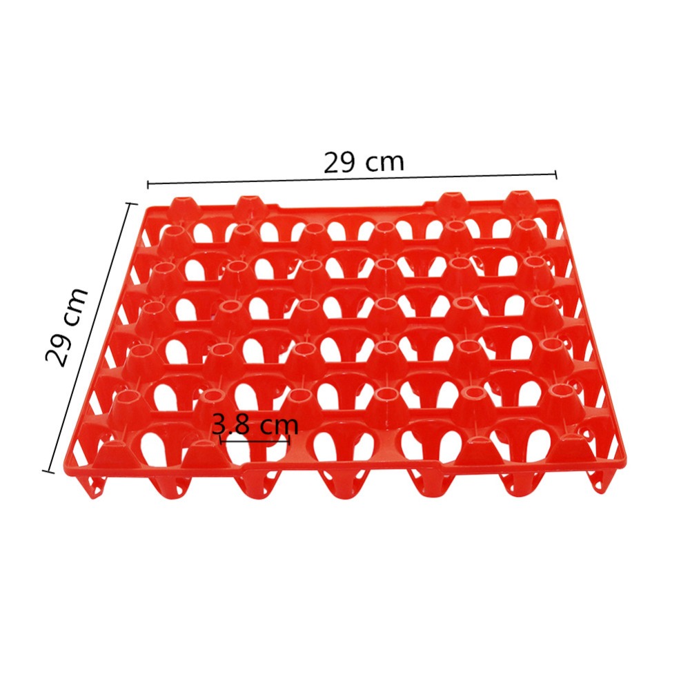 30 Eggs Capacity Commercial Chicken Farm Plastic L... – Vicedeal