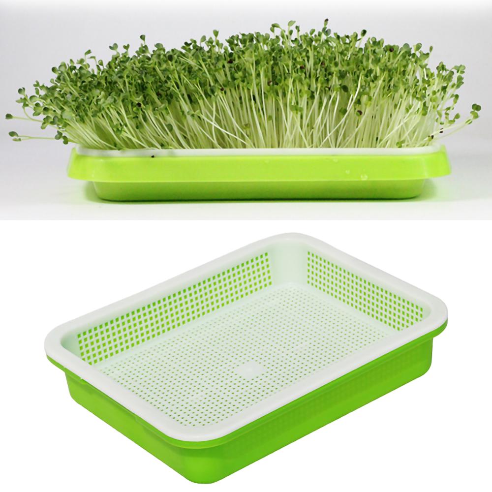 Plastic Kwekerij Potten Zaad Sprouter Lade Pp Bode... – Grandado
