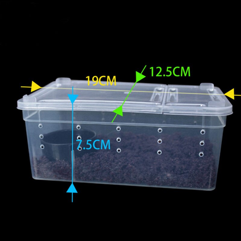 Transparent Plastic Box Insect Reptile Transport B... – Vicedeal