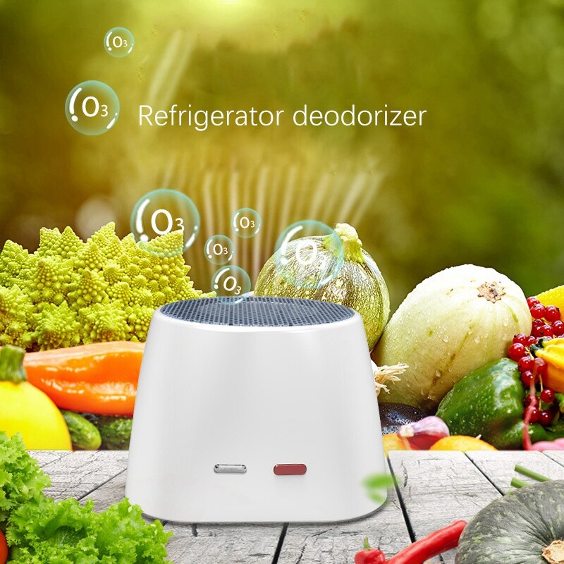 Small Portable Air Purifier Refrigerator Deodorize... – Grandado