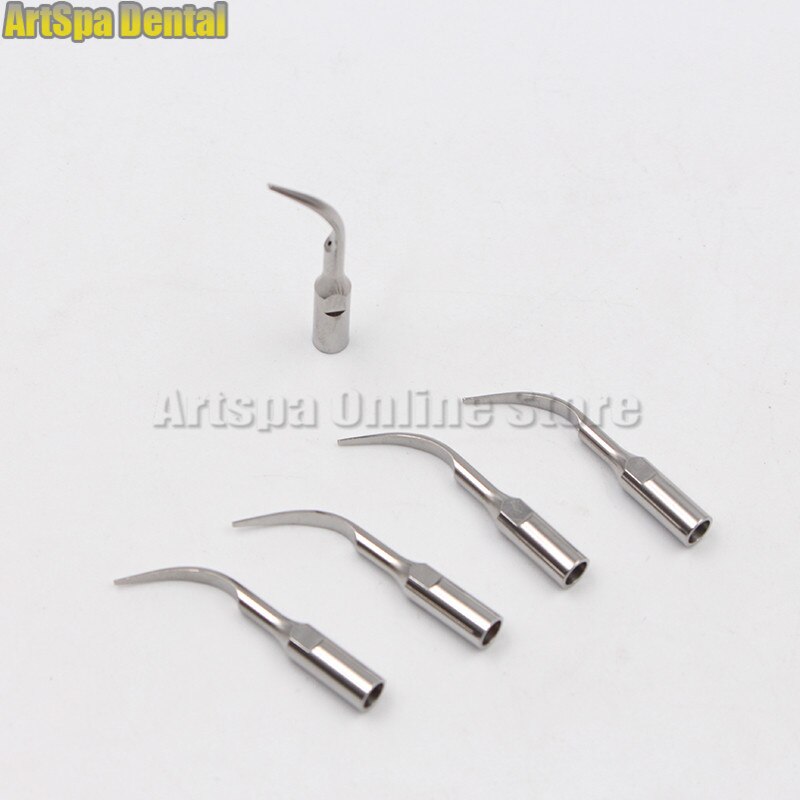 SPTA 5pcs GD1 Dental Scaler Tips Ultrasonic Dentis... – Grandado