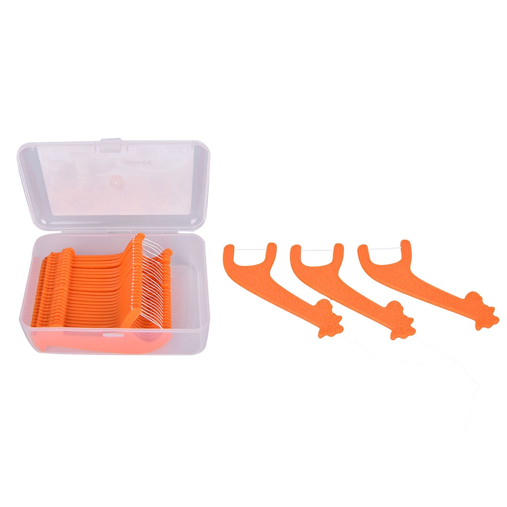 24PCS/box Orange Dental Floss Teeth Stick Tooth Pi... – Grandado