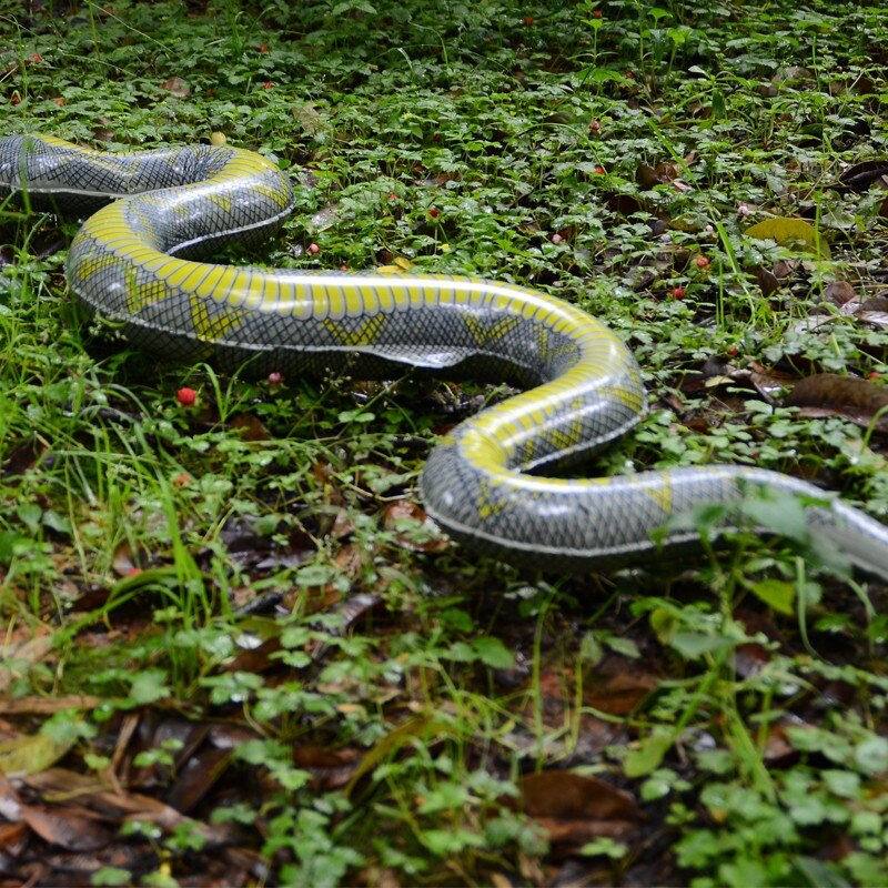 simulated snakes toy inflatable animal Inflatables... – Grandado