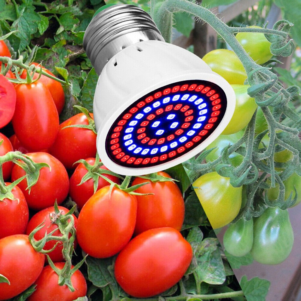 Led Grow Lamp Volledige Spectrum E27 Indoor Plante... – Vicedeal