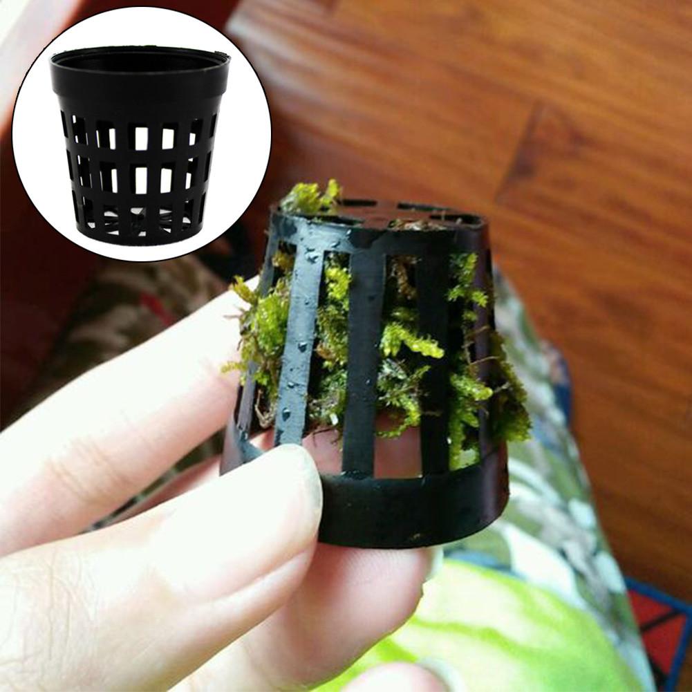50pcs Fish Tank Aquatic Planting Basket Aquatic Cu... – Grandado