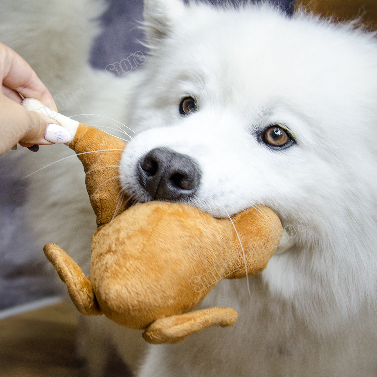 Roast Whole Chicken Pet Dog Toy Squeaky Interactiv... – Vicedeal
